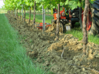 RADIUS SL PLUS | CLEMENS Technologies